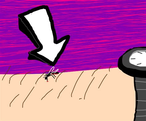 Mosquito Drawception