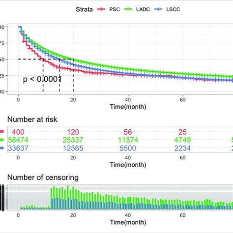 A Variable Selection Using The Least Absolute Shrinkage And