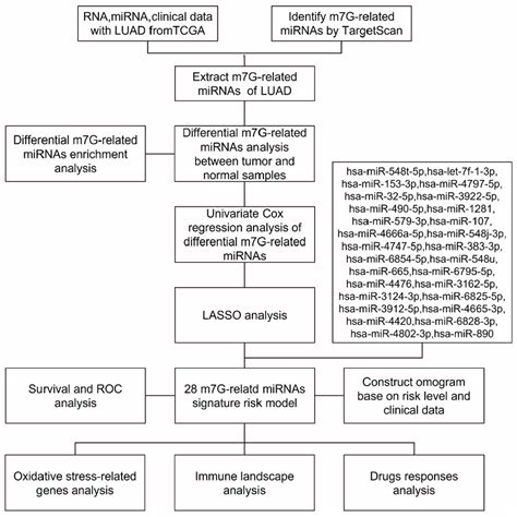 The Research Flowchart The Research Flowchart Download Scientific