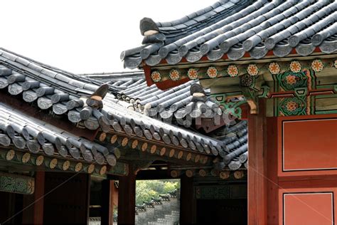 기와 지붕 창경궁 처마 단청 사진 이미지 일러스트 캘리그라피 양기리작가