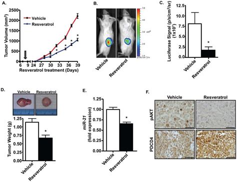 Resveratrol Suppresses Tumor Growth In Vivo By Regulating Mir 21