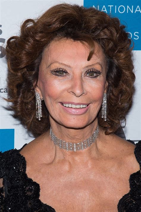 Sophia Loren Now Google Search Sophia Loren Sophia Loren Photo Hot Sex Picture