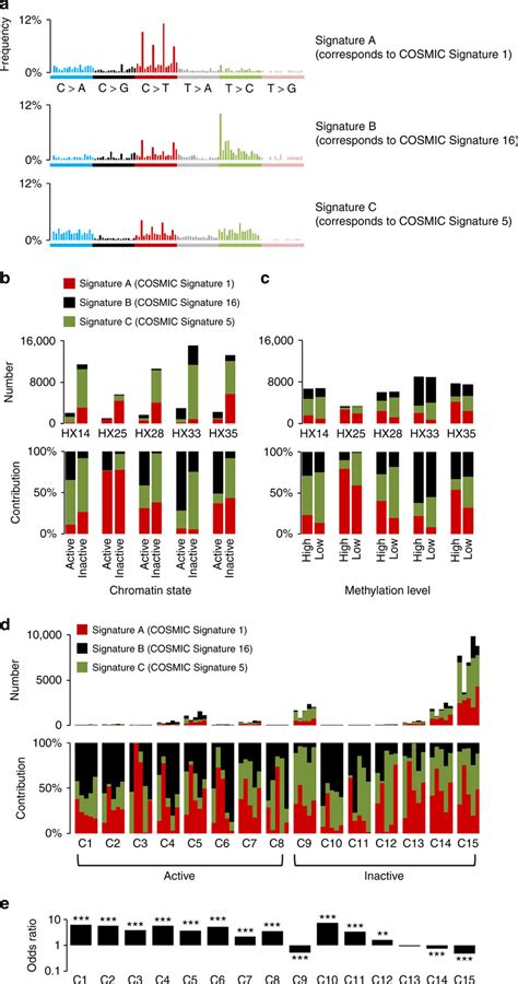 Mutation Signature Analysis Of Five Hepatocellular Carcinoma Samples In