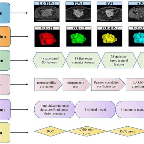 Flowchart Of The Present Study Including Tumor Segmentation Feature