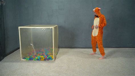 A Cube For The Tiger Vacuum Dreams Clips4sale