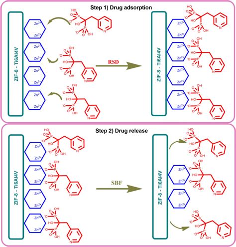 Zeolitic Imidazolate Framework‑8 Zif 8 Modified Titanium Alloy For Controlled Release Of Drugs