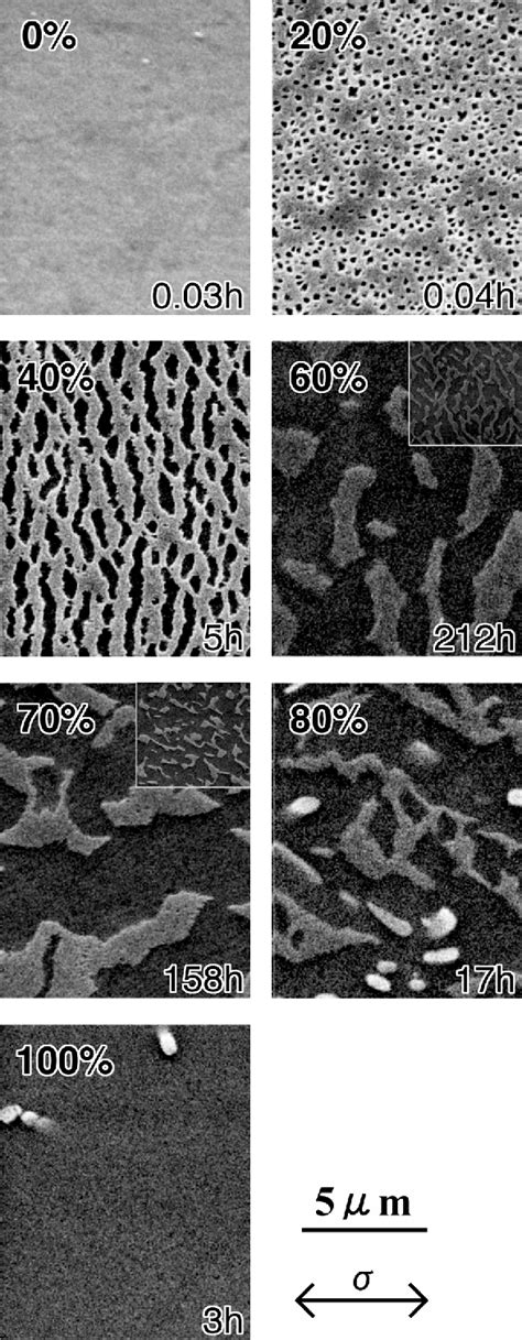 Figure 1 From Creep Strength Of Ni Base Single Crystal Superalloys On The γ γ Tie Line