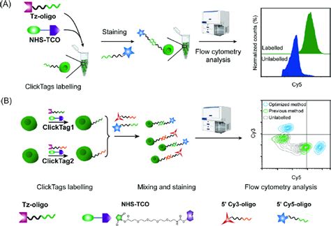 Clicktag Labelling And Sample Multiplexing Detected By Flow Cytometry Download Scientific
