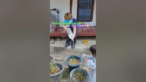 하비 물을 얼만큼 줘야 하나요 😅 미션 화분 고추 작물 물 오잉 장민호 고추 민트 Shorts Youtube