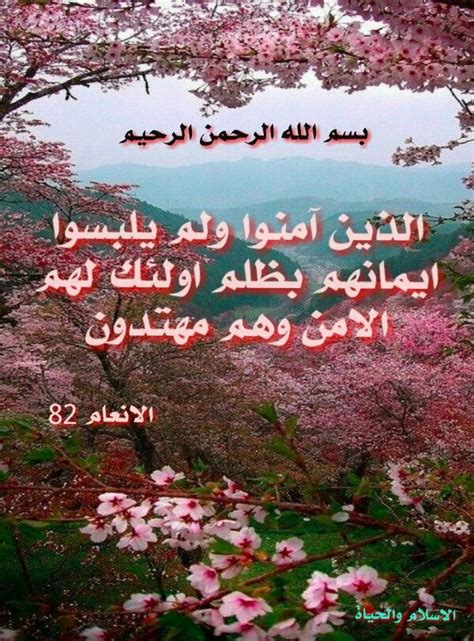 تفسير الشعراوى سورة الأنعام الآية 82