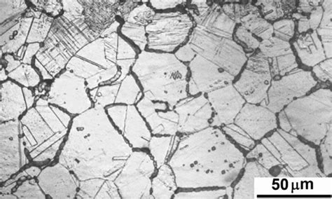 Шта је интергрануларна корозија нерђајућег челика Ова технологија Цо Лтд