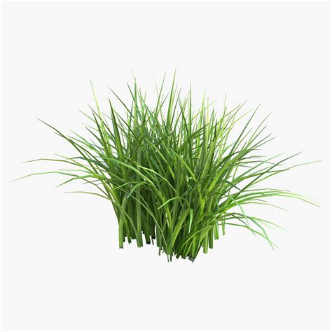 Grass Free 3d Model C4d Free3d