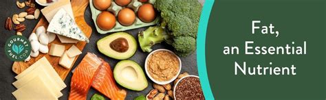Fat An Essential Nutrient Gourmetfuel