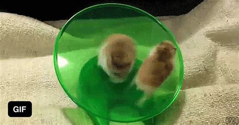 My New Loading Screen 9gag