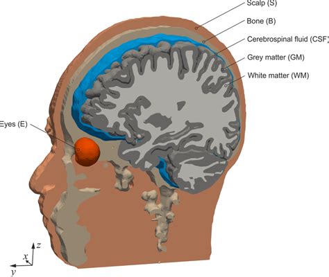 Head Model From The Example Data Set Subject0 Constructed With The