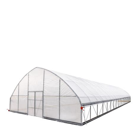High Quality Tunnel Greenhouses Tmg Industrial Usa