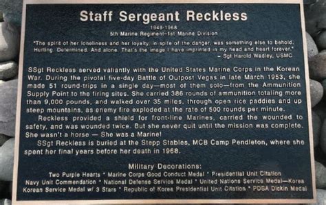 Sergeant Reckless The Courageous Marine Mares Remarkable Journey