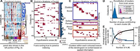 Encoding Of Behavior Classes Is Spatially Distributed But Single Download Scientific Diagram