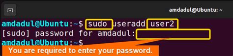The “useradd” Command In Linux 12 Practical Examples