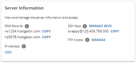 How To Set Up Your MX Mail Exchange Record