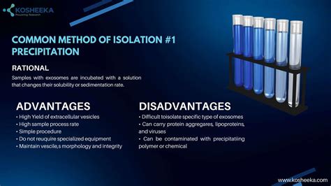 Exosome Isolation From Cell Culture Media Ppt
