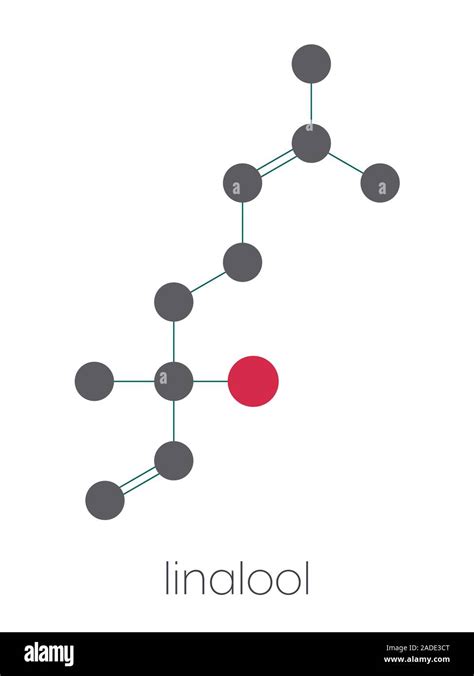Linalool Scent Molecule Stylized Skeletal Formula Chemical Structure Atoms Are Shown As