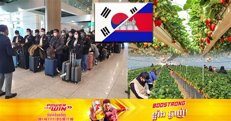 ដំណឹងល្អ សាធារណរដ្ឋកូរ៉េសន្យាផ្តល់កូតា សម្រាប់ពលករកម្ពុជា ឱ្យបានជាង១ម៉ឺននាក់ ក្នុងឆ្នាំ២០២៣នេះ