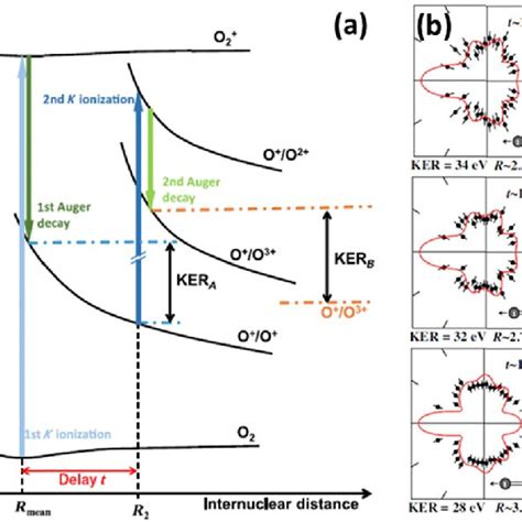 Schematic Of The Euler Angles A B Z Defining The Rotation Of The Download Scientific Diagram