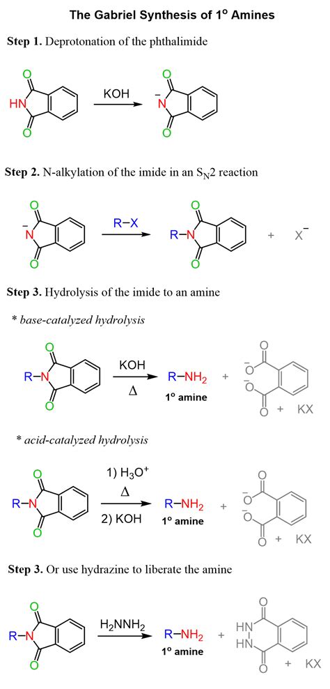 The Gabriel Synthesis Chemistry Steps