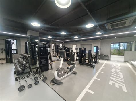 체형교정전문 마포역pt Mmt Fitness Mapo 네이버 블로그