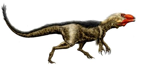 Dryptosaurus Pictures And Facts The Dinosaur Database