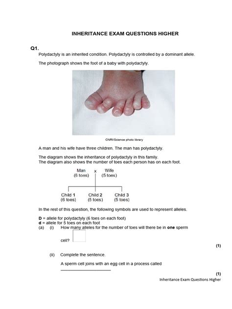 inheritance exam questions higher pdf in vitro fertilisation
