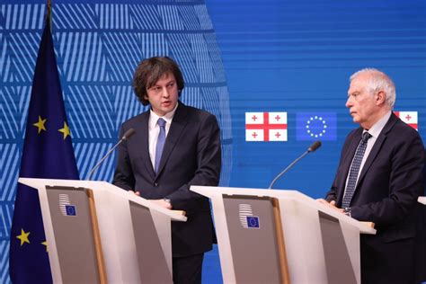 რუსულ კანონთან დაკავშირებით 12 ქვეყნის საგარეო მინისტრი ბორელსა და