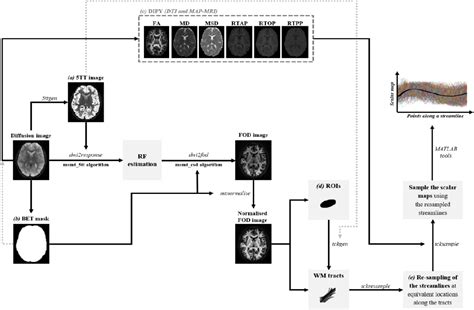 Pdf Integration Of Multi Shell Diffusion Imaging Derived Metrics In