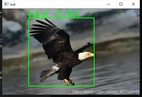 Libtorchyolov5libtorch Yolov5 Csdn博客