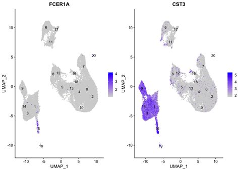 Single Cell Rna Seq Clustering Analysis Introduction To Single Cell Rna Seq Archived