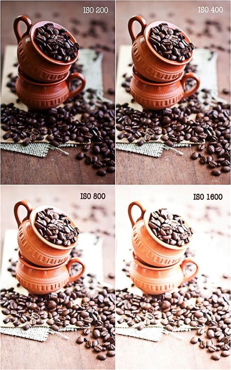 Understanding ISO Aperture And Shutter Speed Playful Cooking