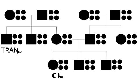 Genetics And Inheritance Erknet For Patients