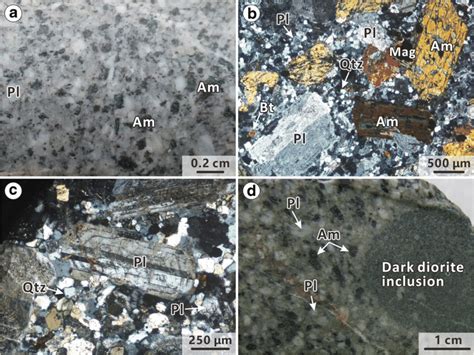 Photographs Showing Representative Mineral Assemblages Textural Download Scientific Diagram