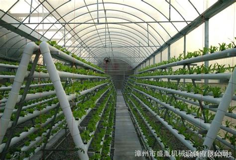 农业新技术,有机农业将实现高效种植,有机蔬菜量产在即。 每日头条 农业新技术,有机农业将实现高效种植,有机蔬菜量产在即。 每日头条