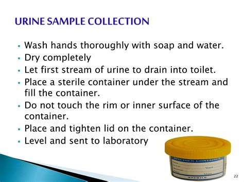 Sample Collection And Safety Pdf