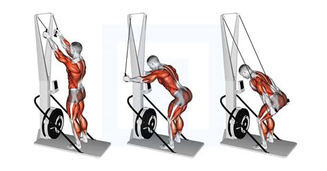 backward jump guide benefits and form