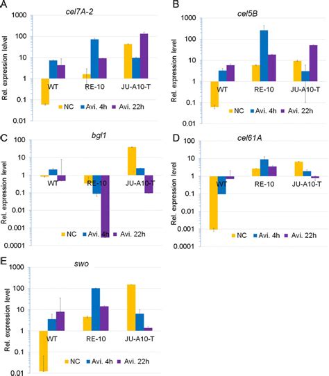 Rt Pcr Analysis Of The Transcripts Transcript Levels Of Genes Encoding