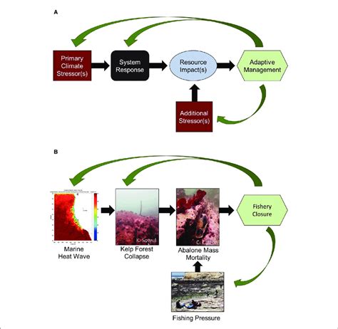 Figure E A Conceptual Framework For Investigating Cascading Risks Of