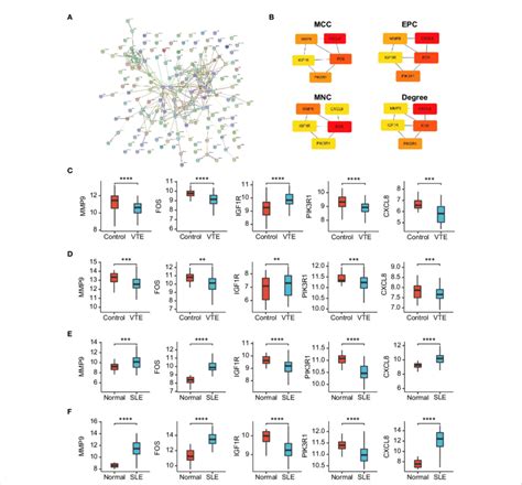Ppi Network And Gene Expression Validation Analysis A Ppi Network Of