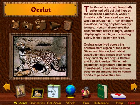 Winworld Multimedia Cats 1 0