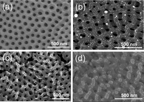 Sem Top View A Black Tio2 X Nanotube Arrays Of Black Tio2 X B Download Scientific Diagram