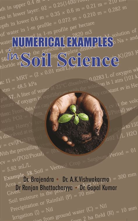 Numerical Examples In Soil Science