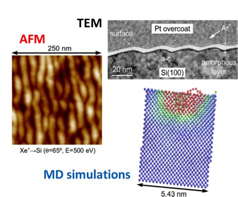 Self Organized Nanopatterning Of Silicon Surfaces By Ion Beam Sputtering Esisna