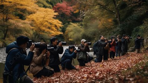 도쿄에서 가을에 촬영하는 사진 작가 카메라 코스 고화질 사진 사진 잎 배경 일러스트 및 사진 무료 다운로드 Pngtree